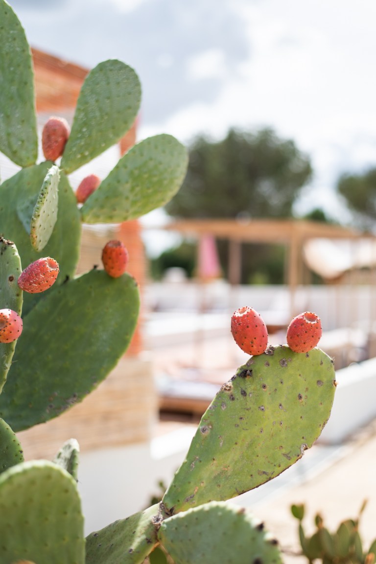 Interiors – Kerry Murray